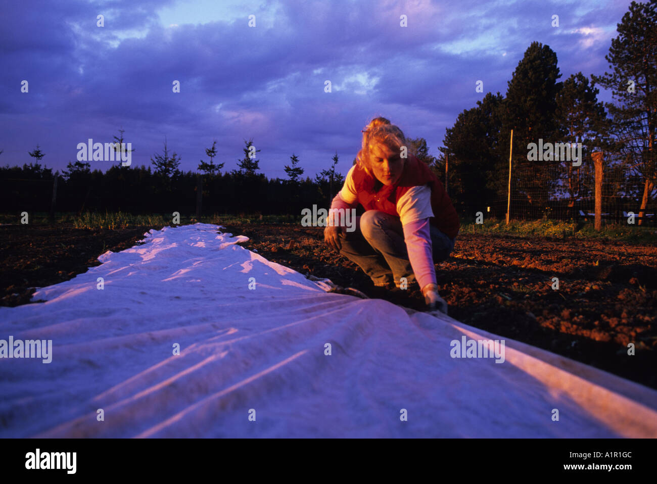 Floating row cover hi-res stock photography and images - Alamy