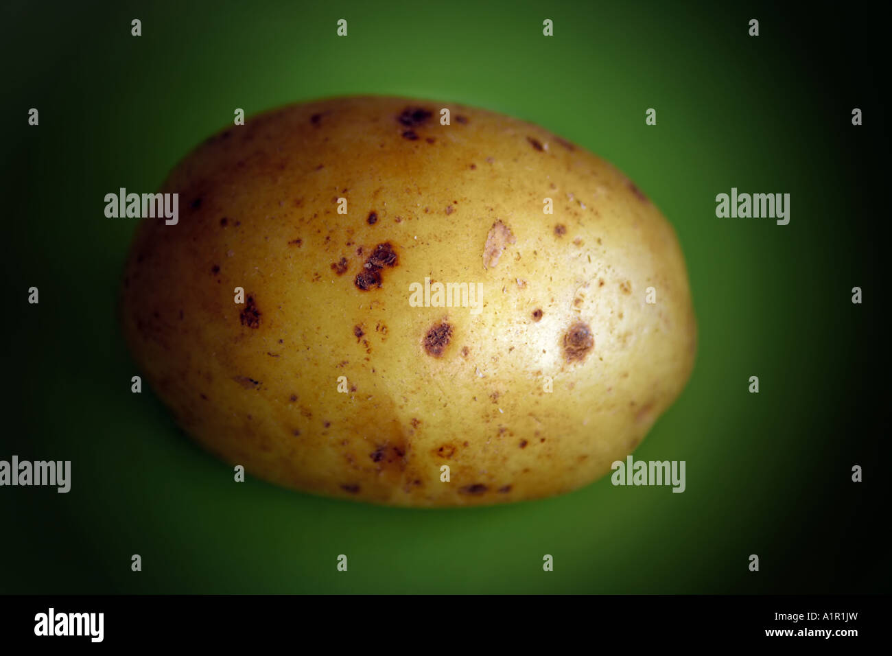 Close-up of a single potato on a green background, showcasing its ...