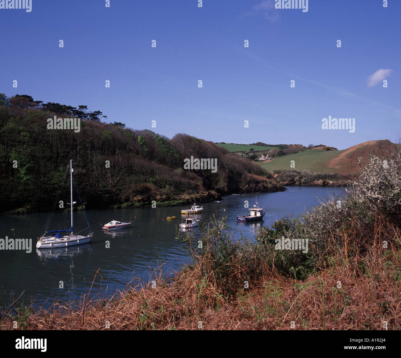 Watermouth cove harbour hi-res stock photography and images - Alamy