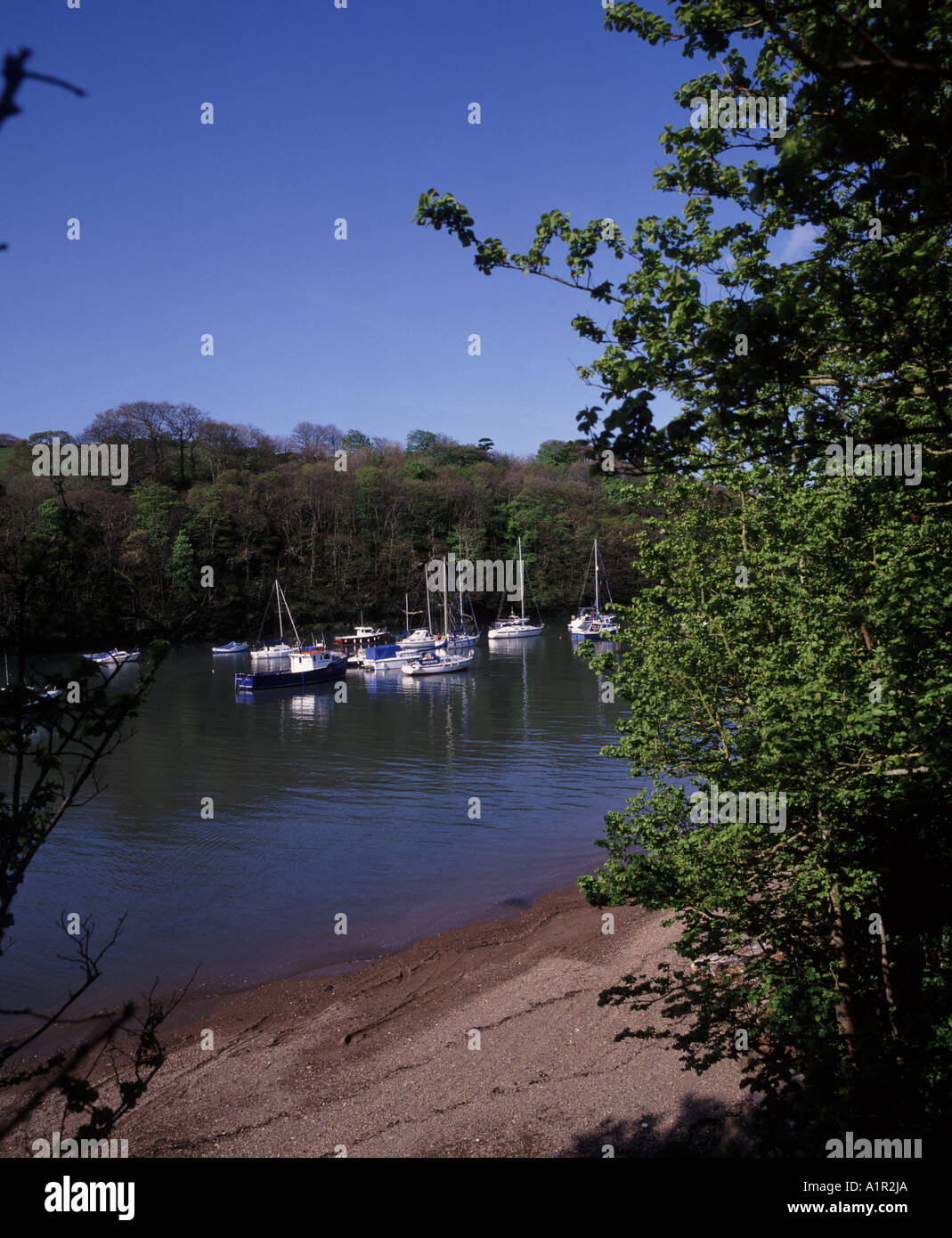 Watermouth cove hi-res stock photography and images - Alamy