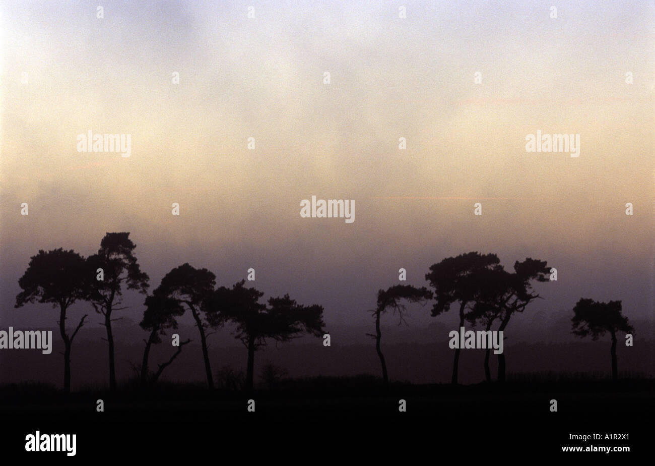 Suffolk countryside hi-res stock photography and images - Alamy