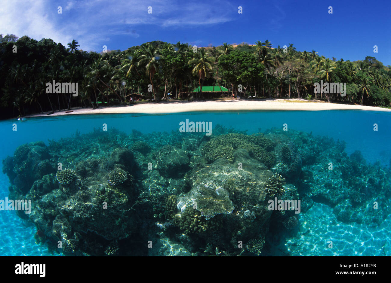 Yanuca Island in Beqa Lagoon, Viti Levu, Fiji Islands Stock Photo - Alamy