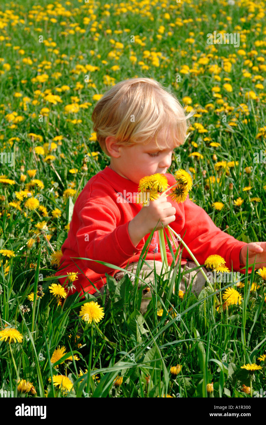 Children collecting flowers hi-res stock photography and images - Alamy