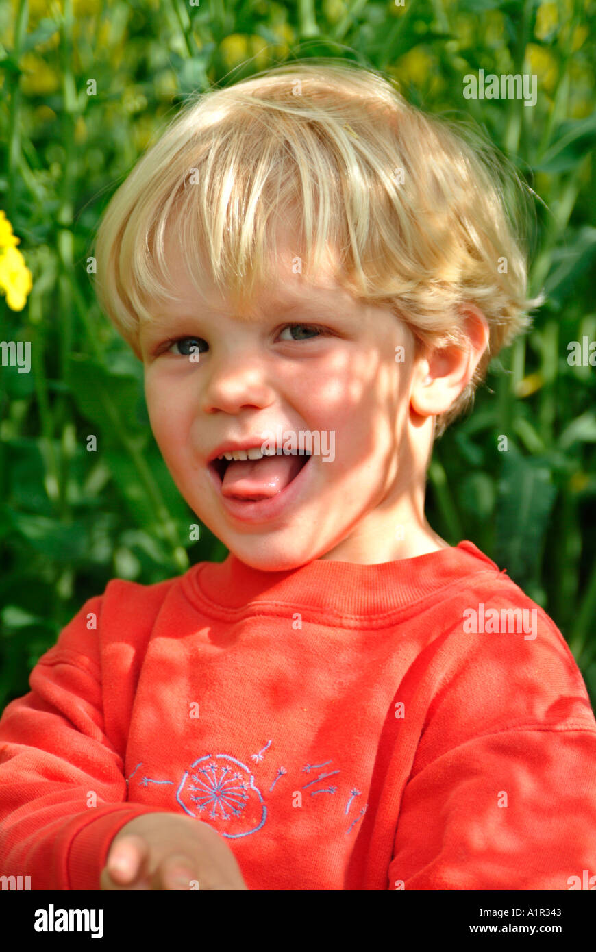 little boy in a rape field MR Stock Photo - Alamy