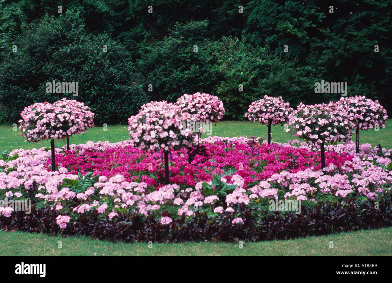 Summer flower display Sydney Gardens Bath Spa, Somerset, England UK ...