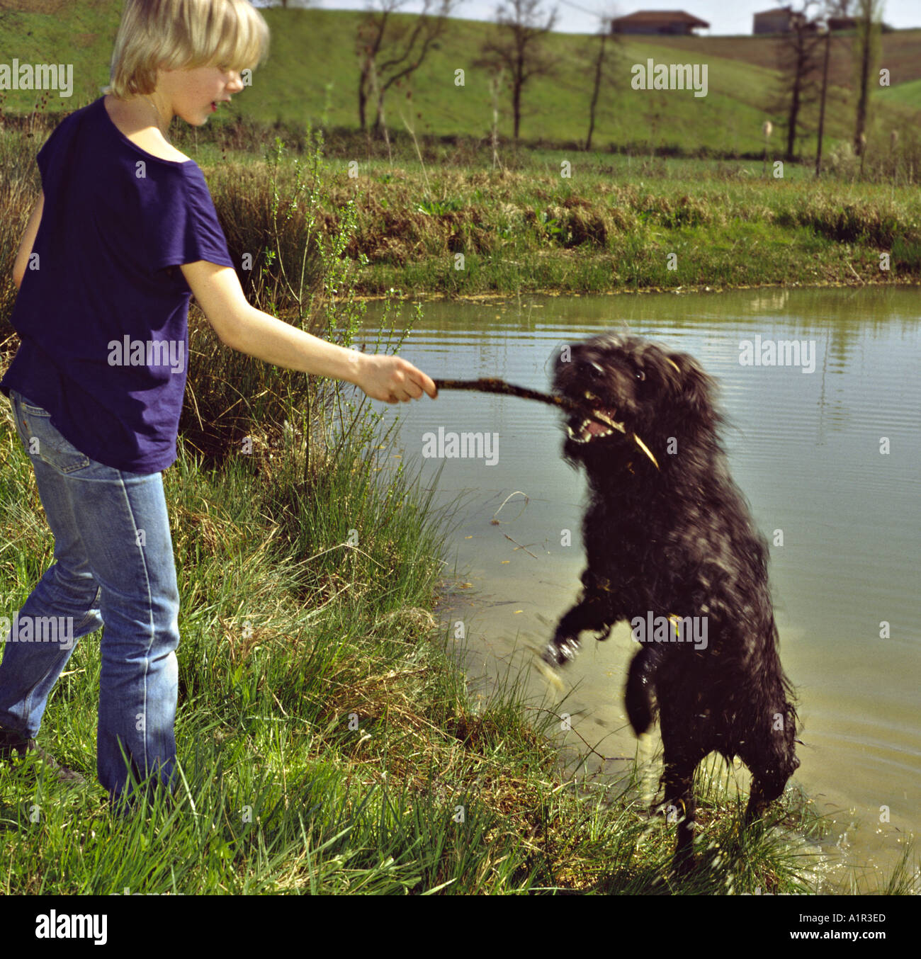Boy playing with dog hi-res stock photography and images - Alamy