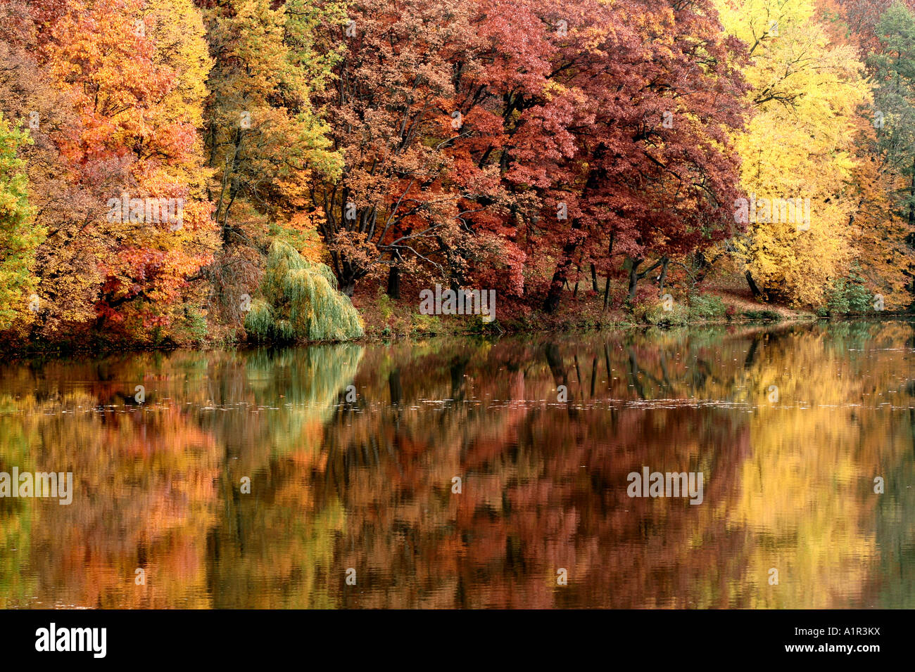 Pruhonicky Park High Resolution Stock Photography and Images - Alamy