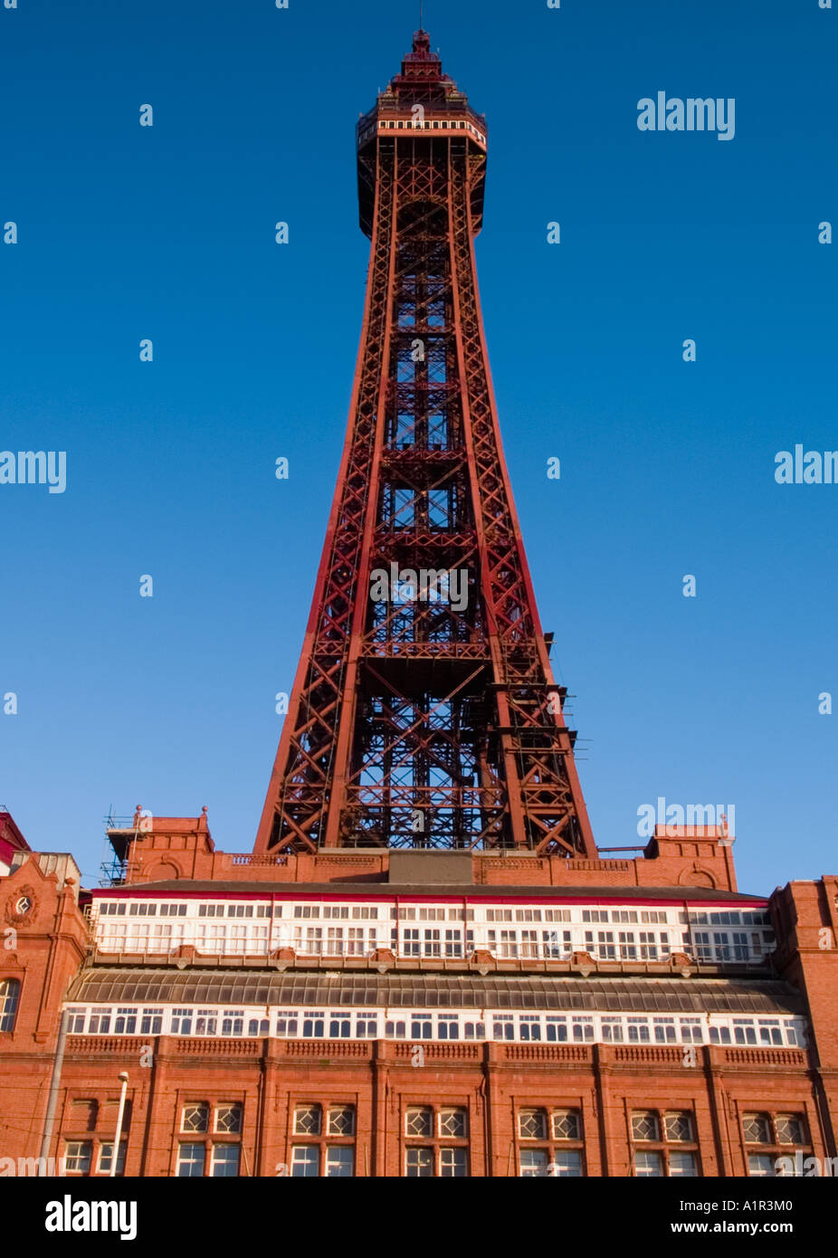 Blackpool Tower from the promenade Stock Photo - Alamy