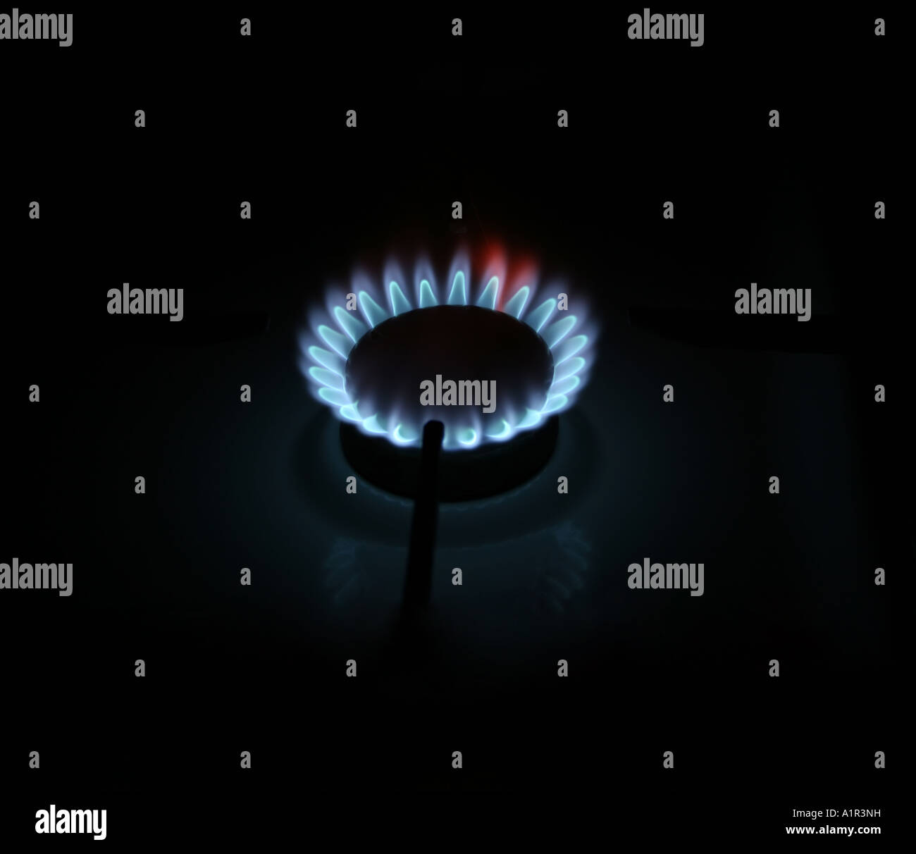 Close-up of a blue gas flame on a stovetop burner in the dark Stock ...