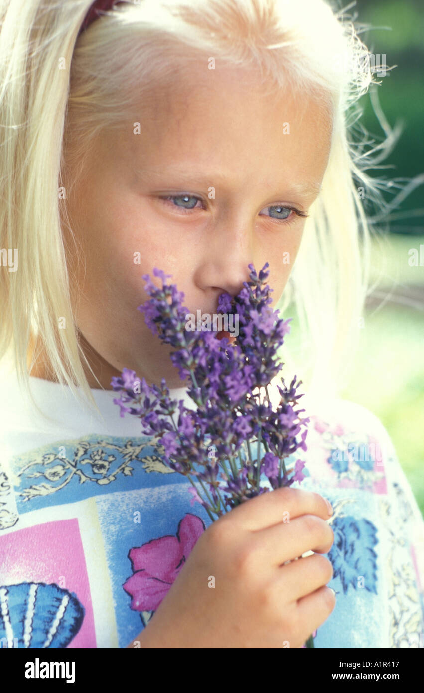 Girl smelling lavender, close-up Stock Photo - Alamy