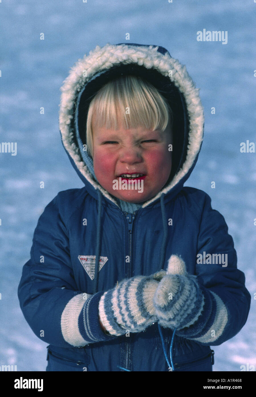 Little but fierce hi-res stock photography and images - Alamy
