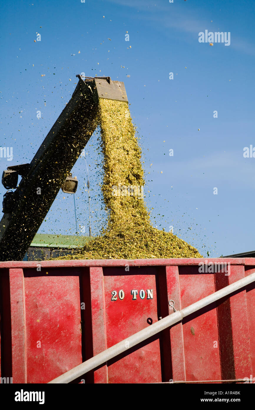 Grain chute hi-res stock photography and images - Alamy