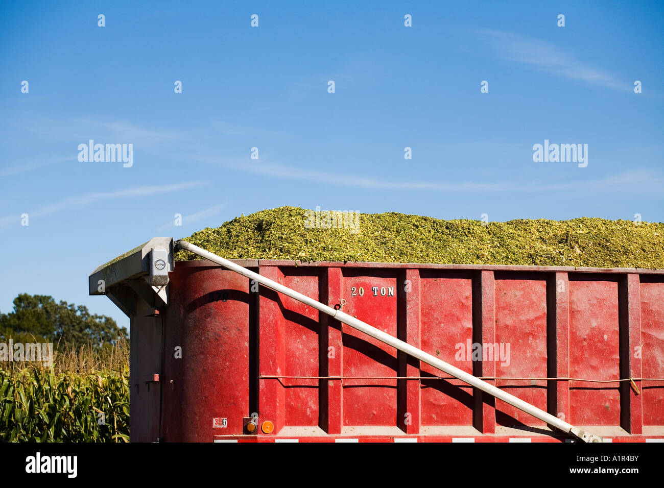 ILLINOIS McHenry County Corn being harvested for silage loaded red dump ...