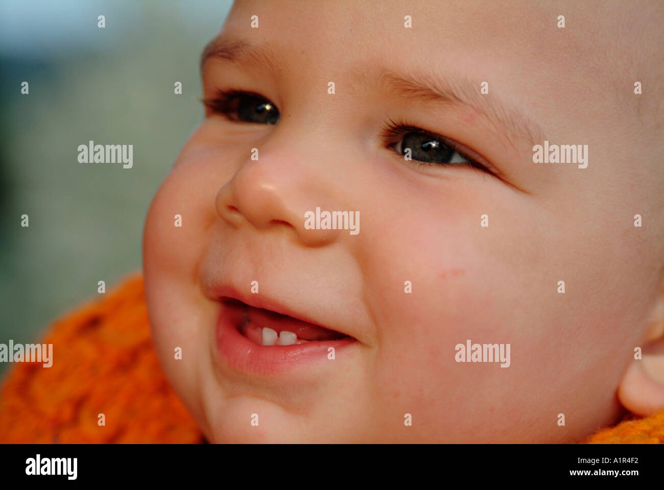 portrait of a smiling baby MR Stock Photo - Alamy