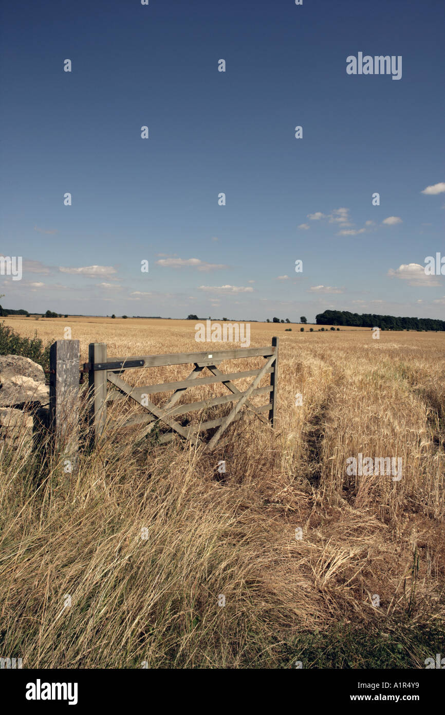 Harvest Time in the Cotswolds near the village of North Cerney Stock ...