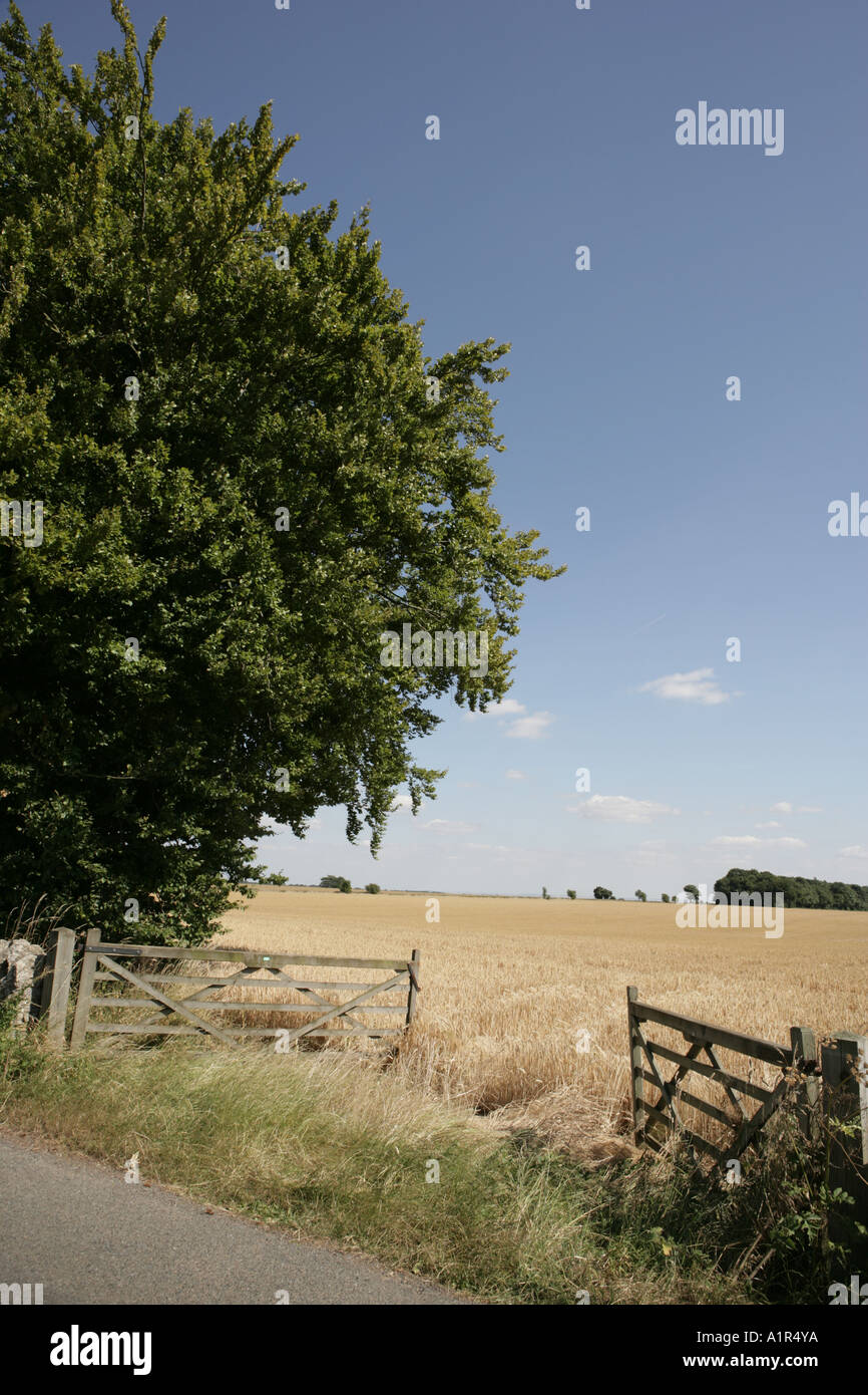 Harvest Time in the Cotswolds near the village of North Cerney Stock ...