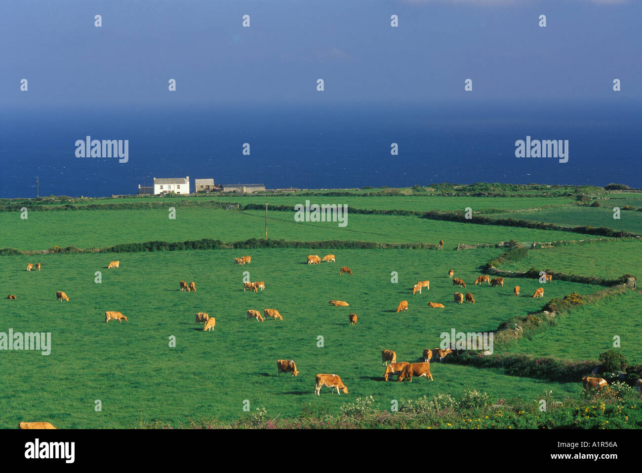 Ancient field patterns hi-res stock photography and images - Alamy