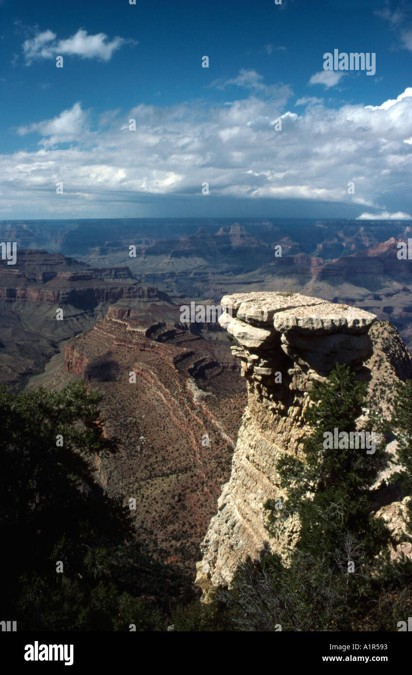 Stack at the Grand Canyon gorge Arizona Stock Photo - Alamy