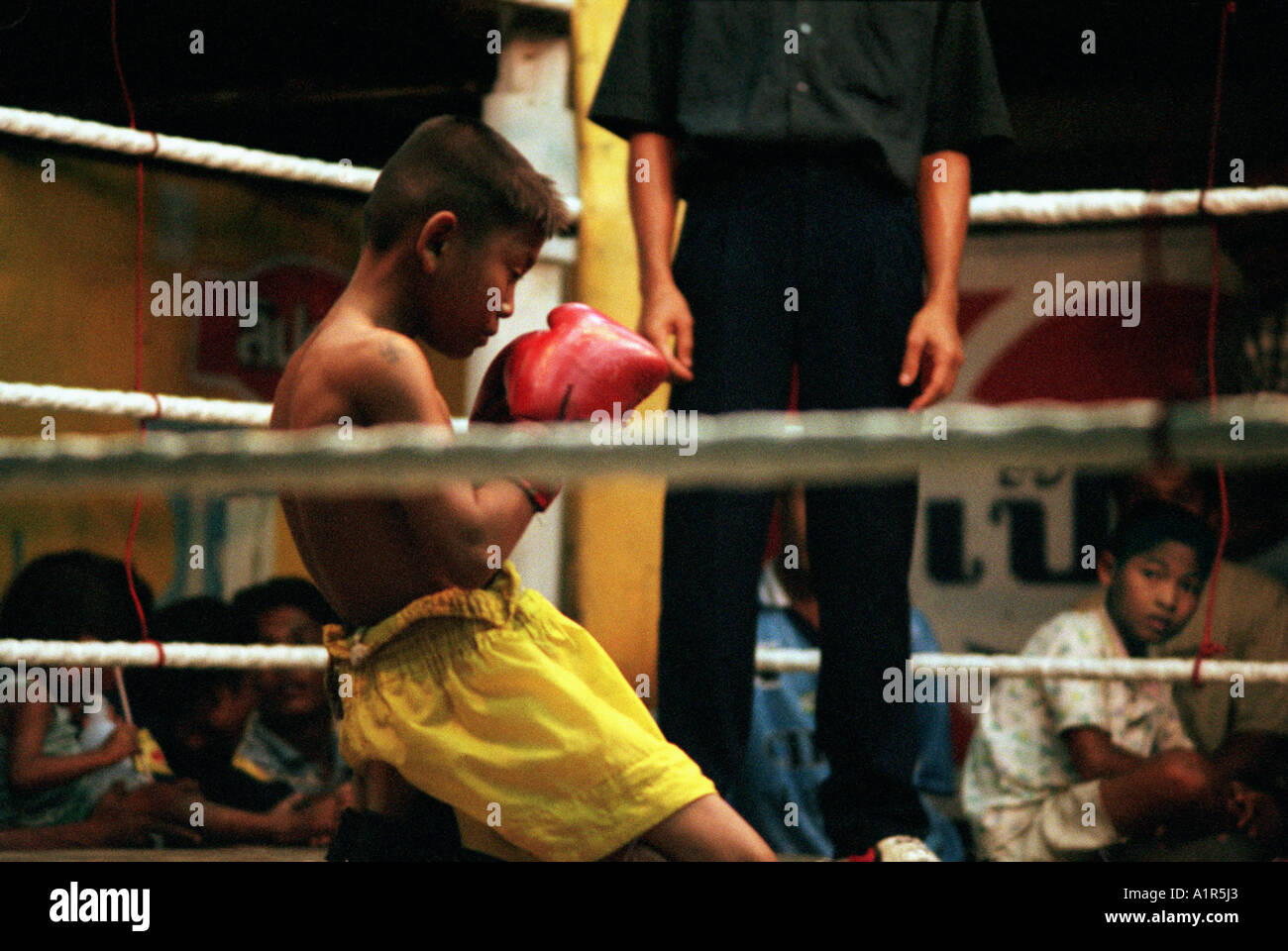 Thai boxing match in Thailand Stock Photo - Alamy