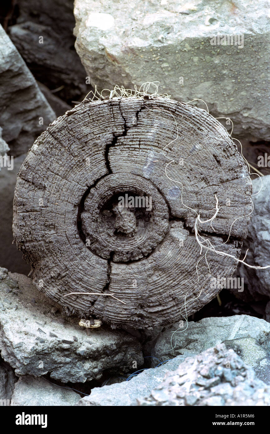 Rotten wooden pole hi-res stock photography and images - Alamy