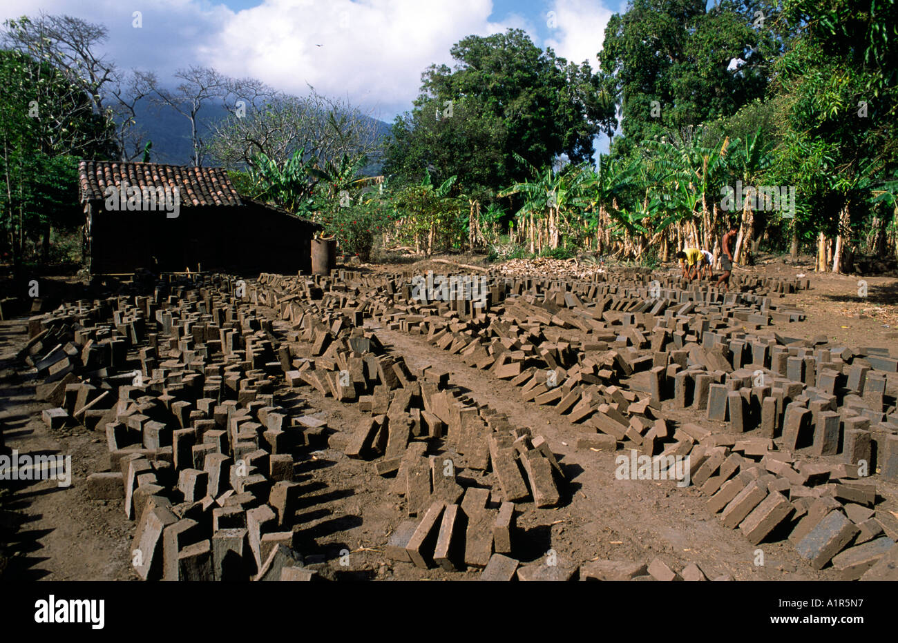 Clay bricks drying in sun hi-res stock photography and images - Alamy