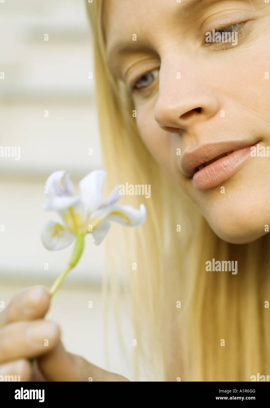 People looking at orchids hi-res stock photography and images - Alamy