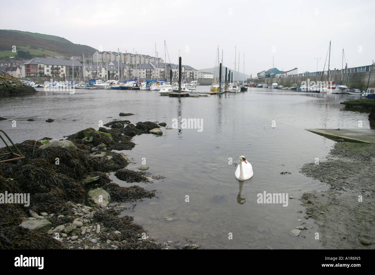 Boats in aberystwyth harbour ceredigion hi-res stock photography and ...