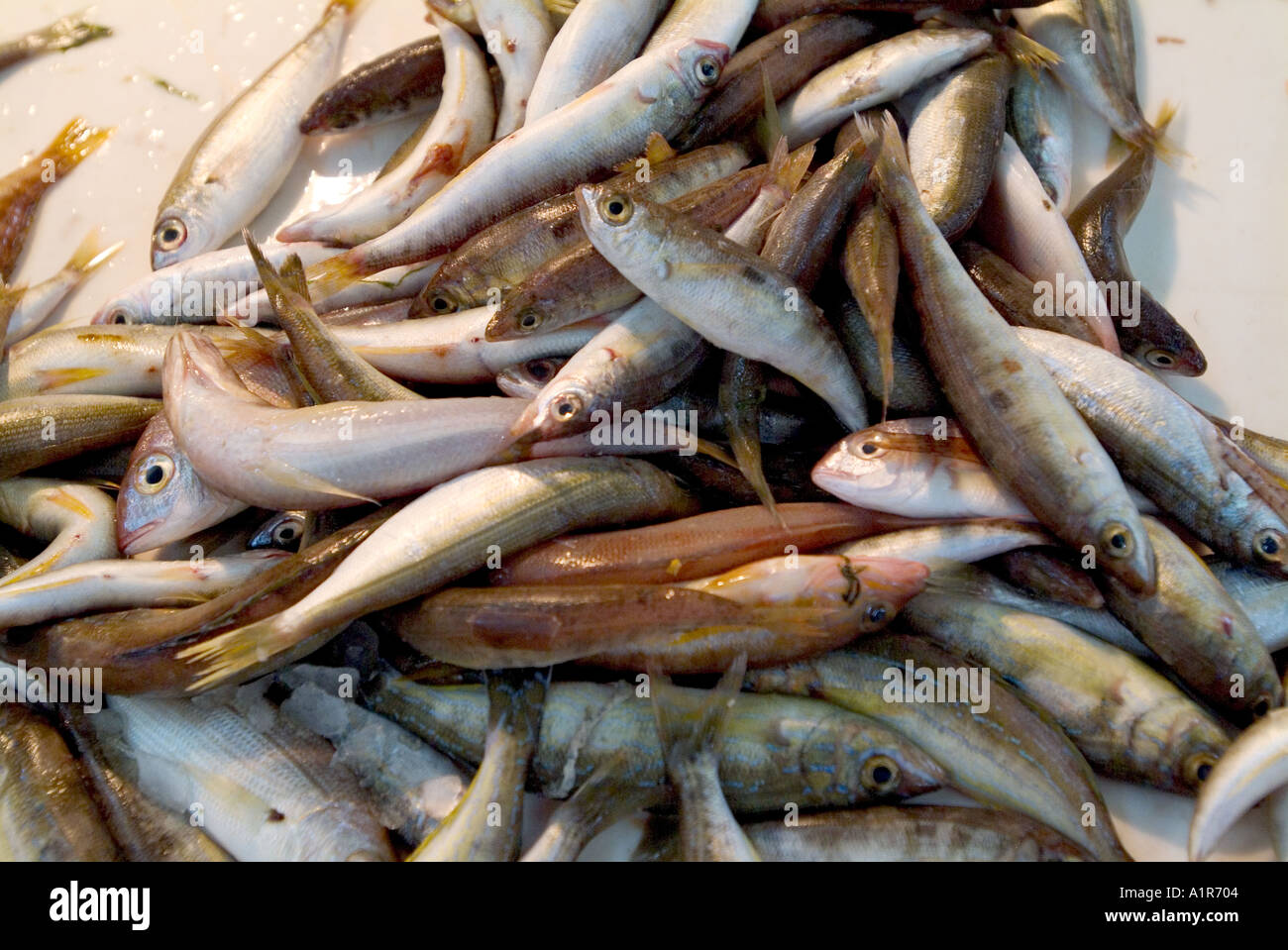 fresh fish in Limassol indoor market Stock Photo - Alamy