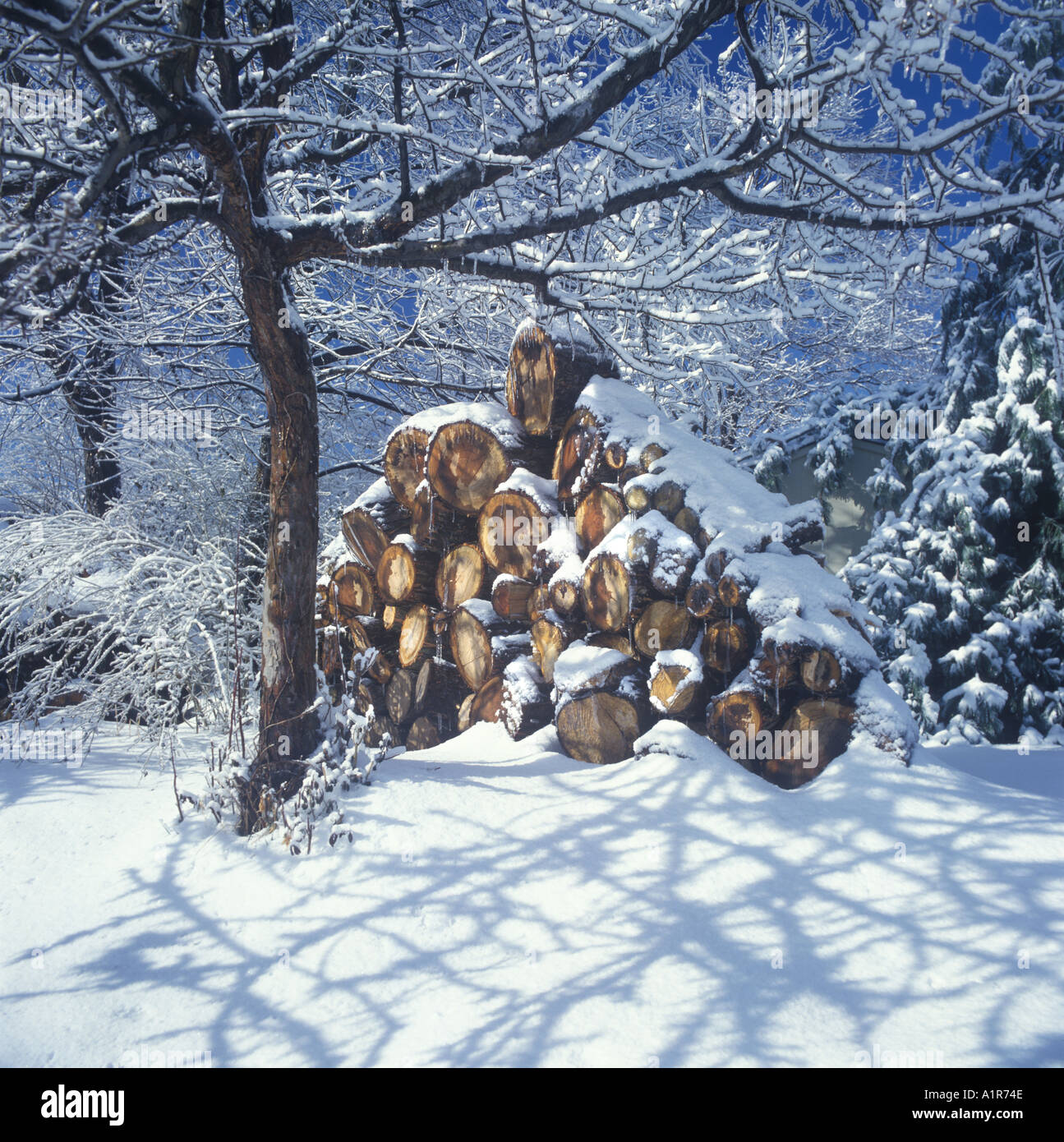 Firewood Winter Scene Stock Photo - Alamy