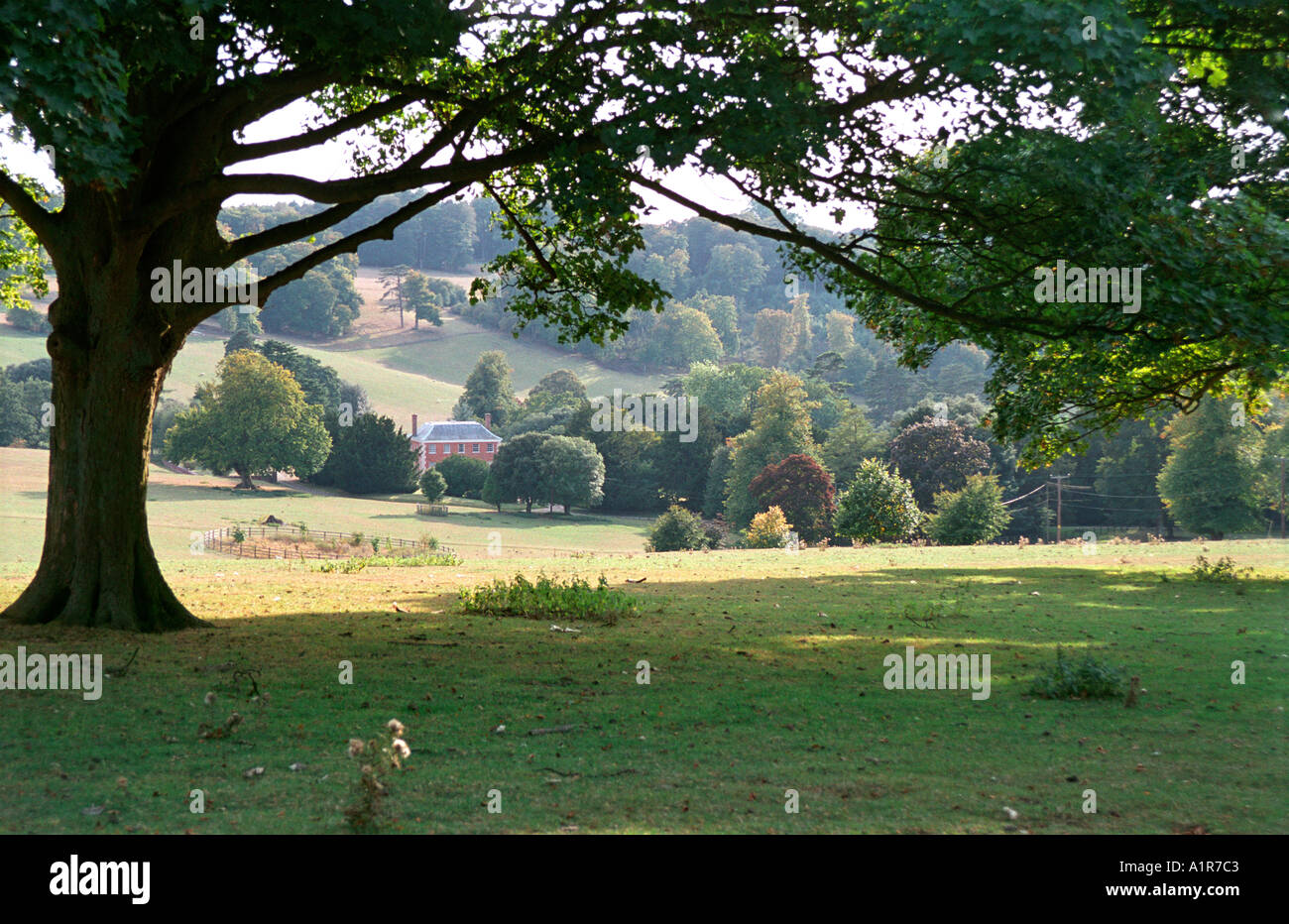 Old tree frames superb Oxfordshire countryside England Stock Photo - Alamy