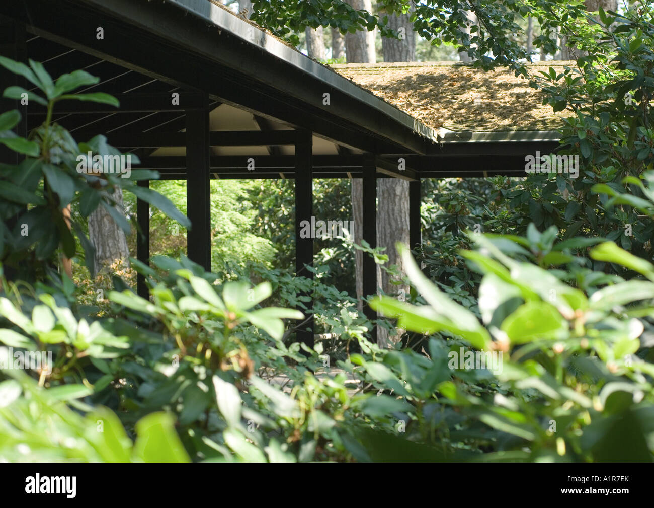 Wooden covered walkways hi-res stock photography and images - Alamy