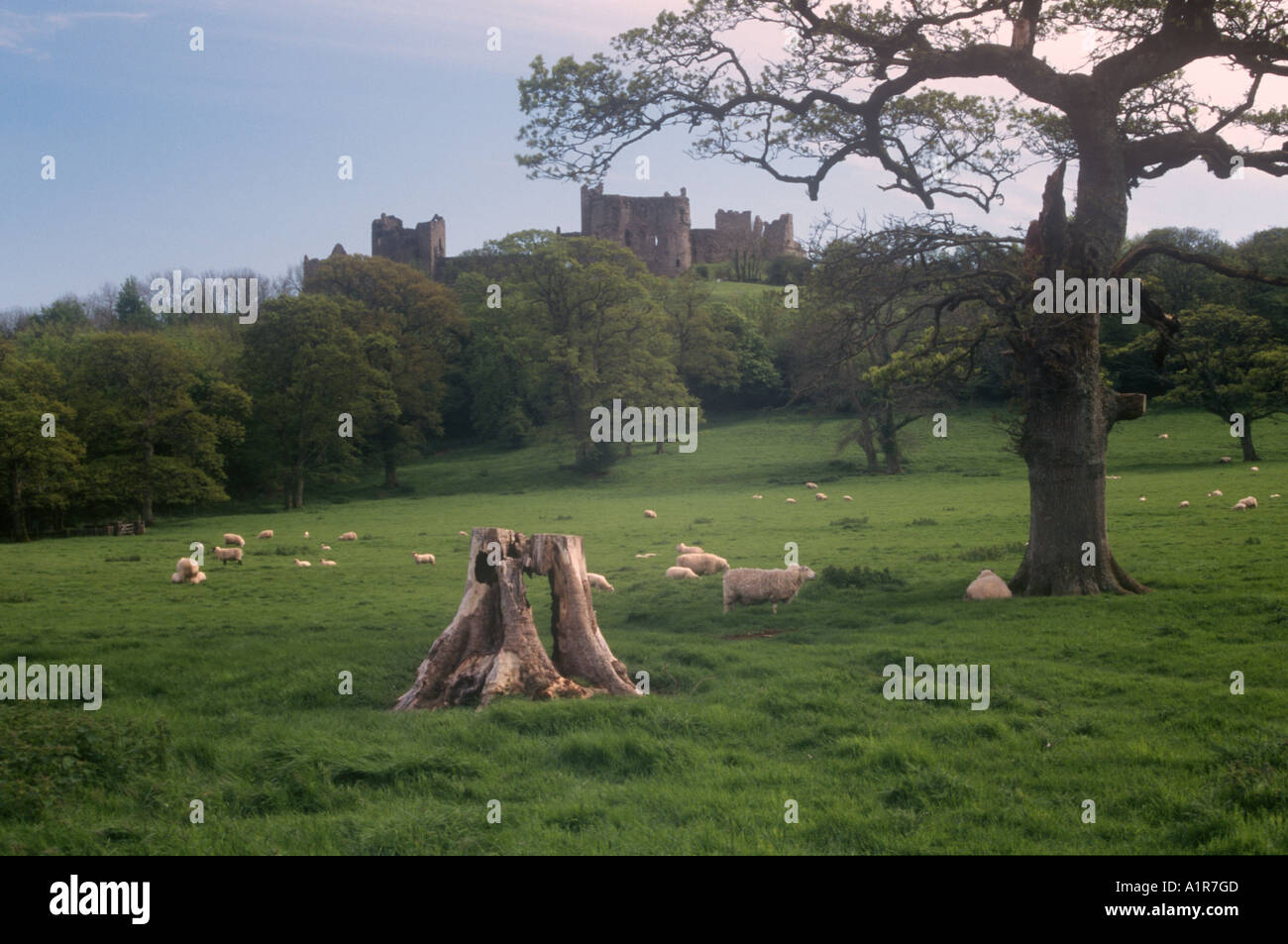 Llanstephan castle hi-res stock photography and images - Alamy