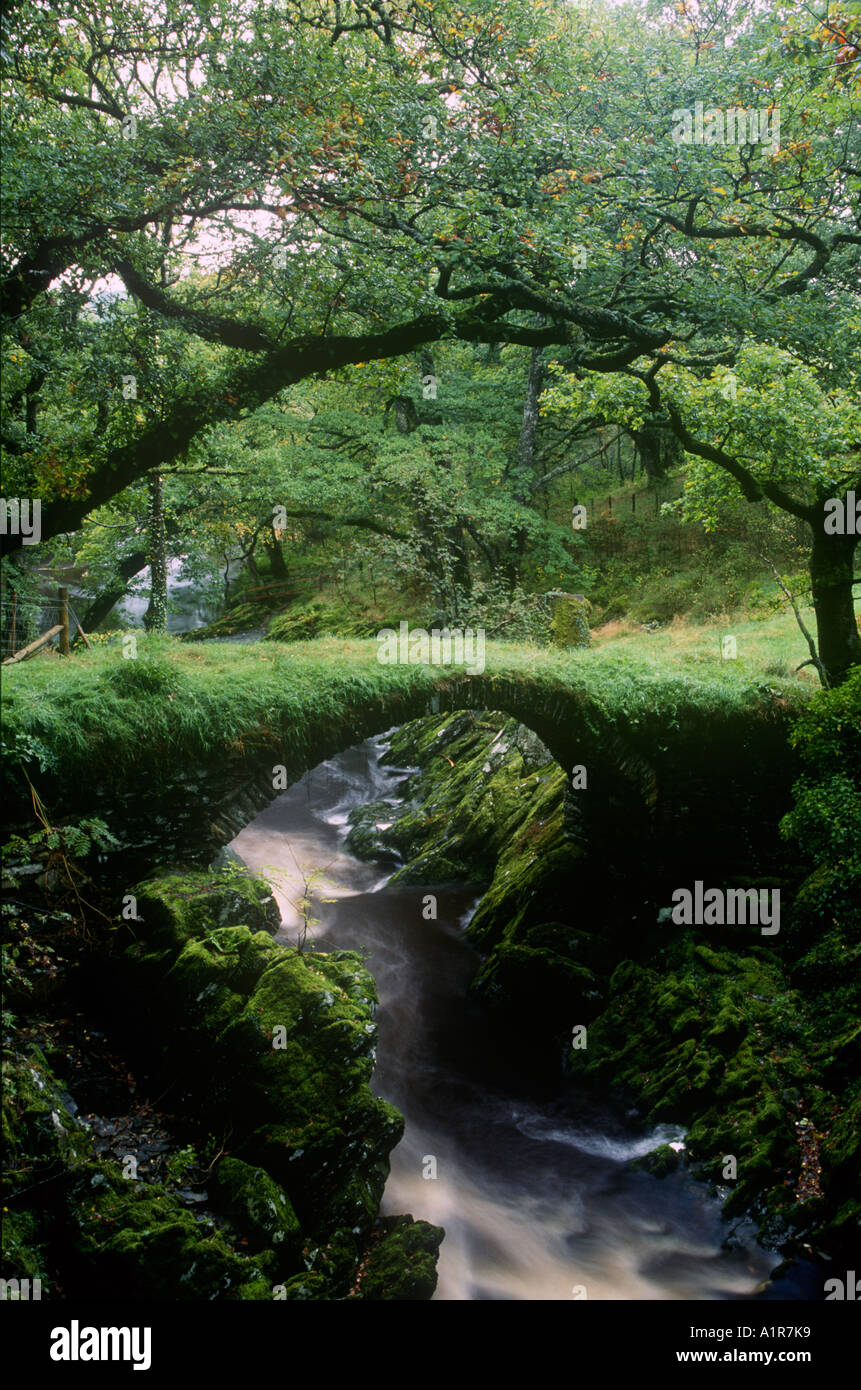 Roman bridge penmachno near betws hi-res stock photography and images ...