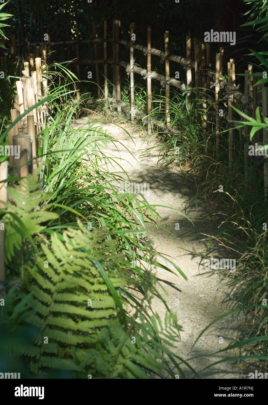 Luminous pathways hi-res stock photography and images - Alamy