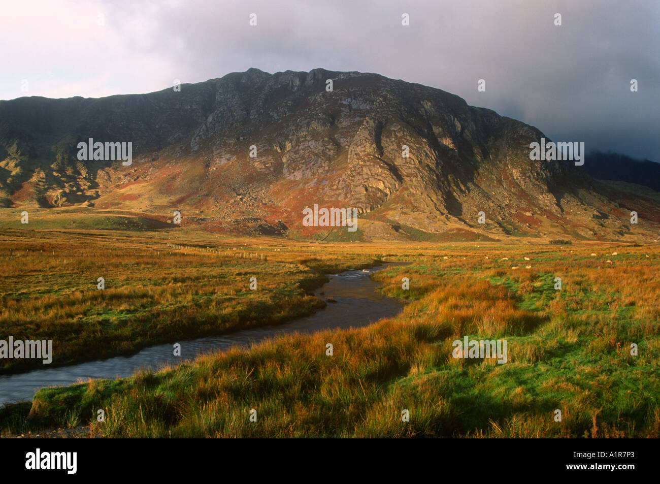 Sennybridge brecon beacons hi-res stock photography and images - Alamy