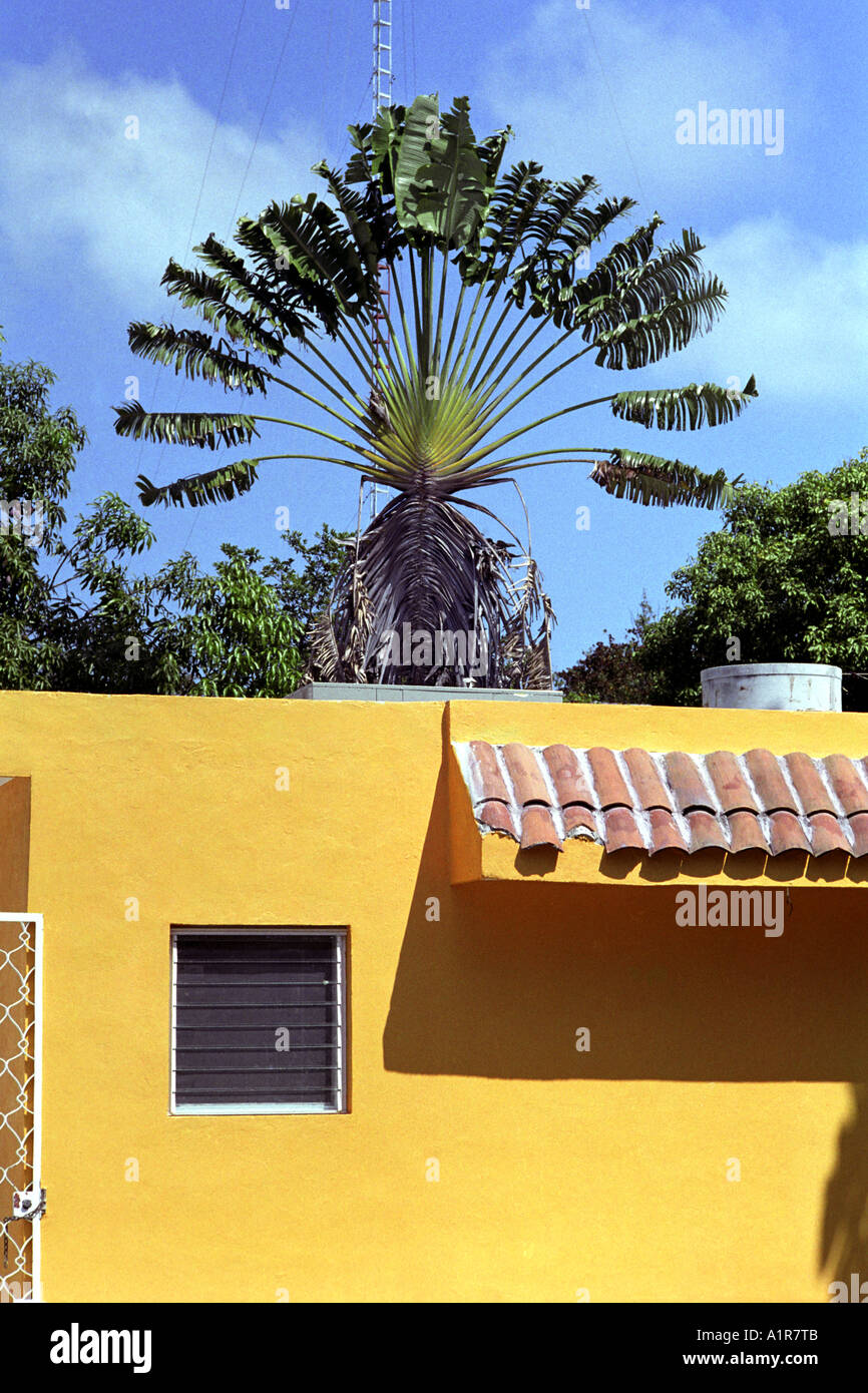 Fan shap hi-res stock photography and images - Alamy