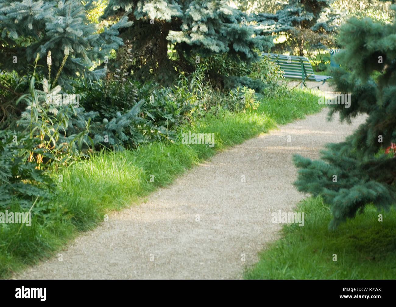 Footpath in park Stock Photo - Alamy