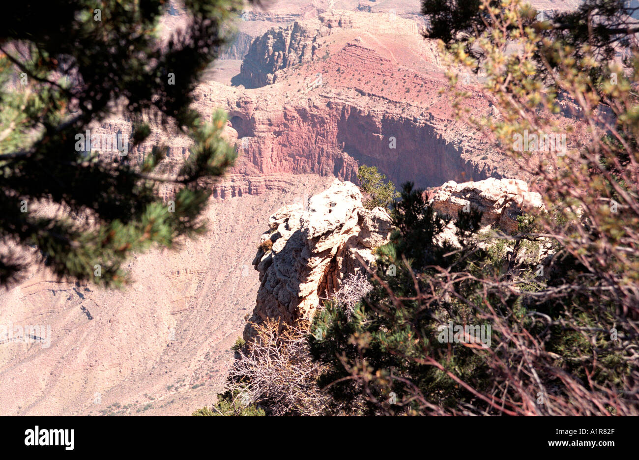 Looking down in grand canyon hi-res stock photography and images - Alamy