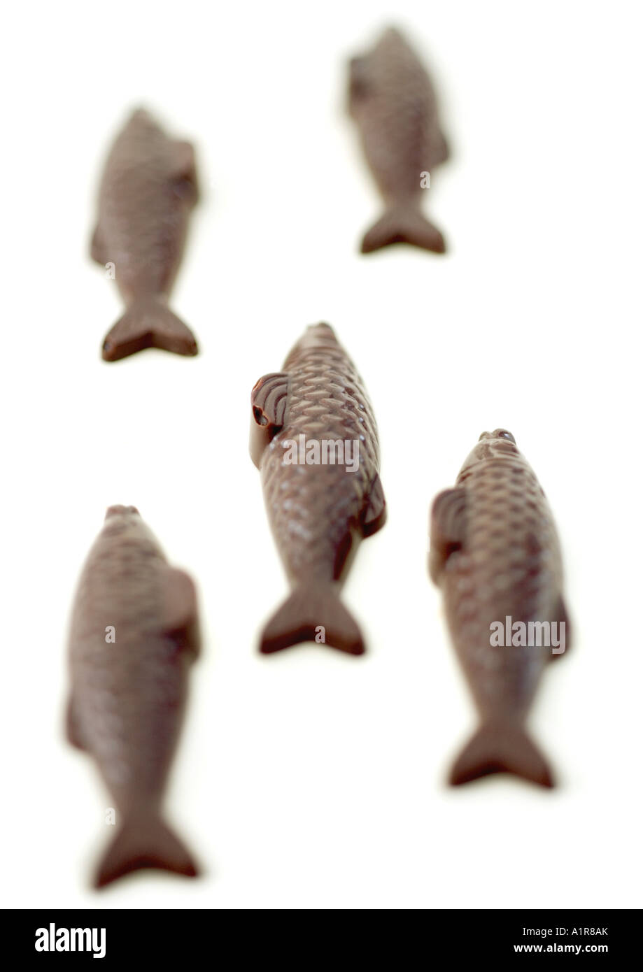 Medium flavor fish hi-res stock photography and images - Alamy