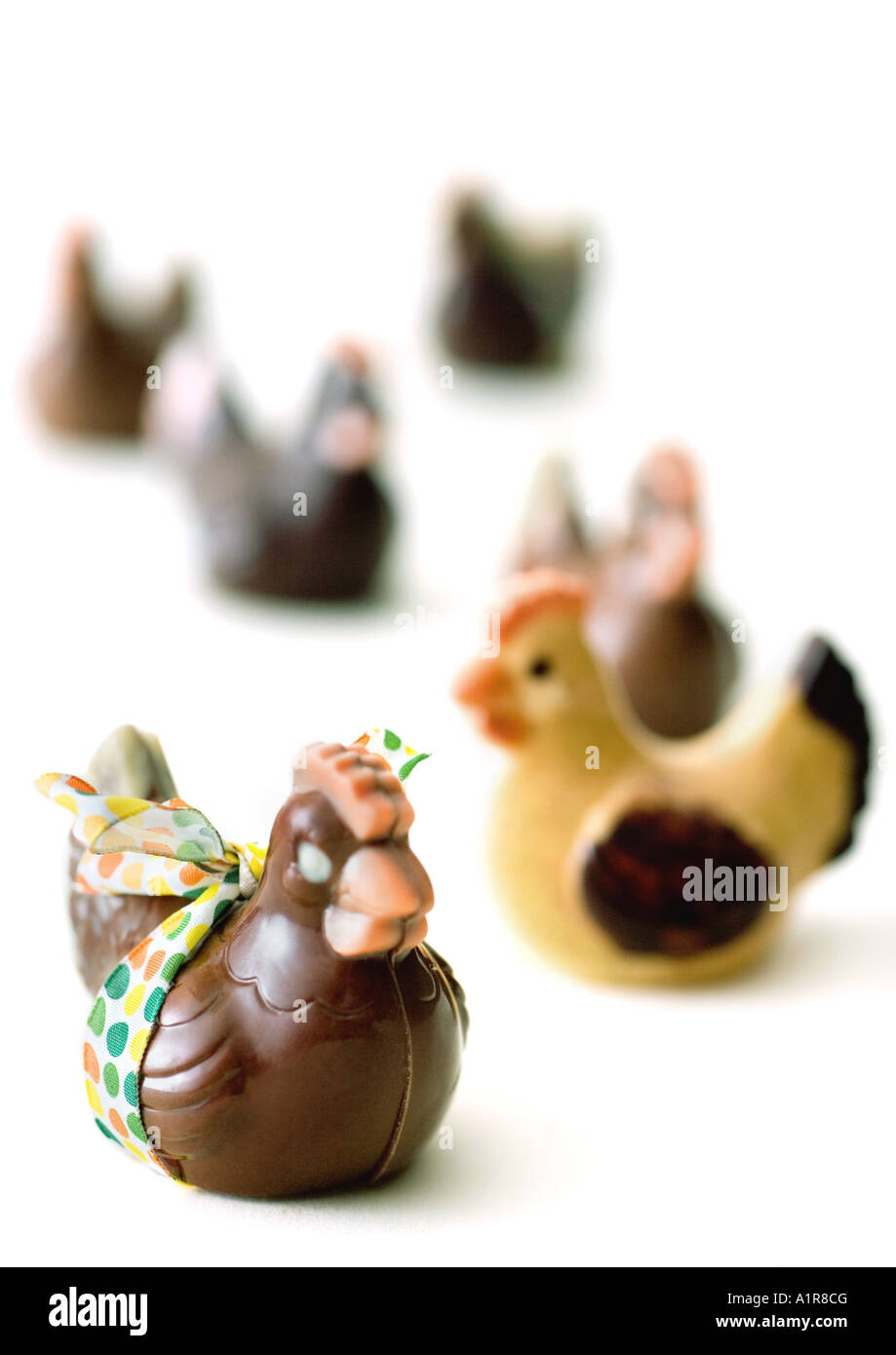 Chocolate Covered Chicken