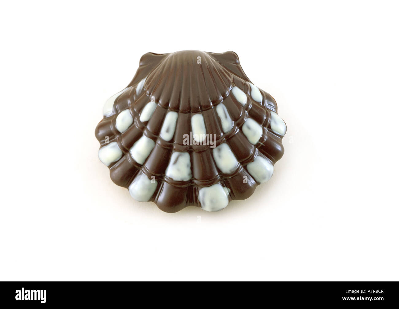 Seashell chocolates hi-res stock photography and images - Alamy