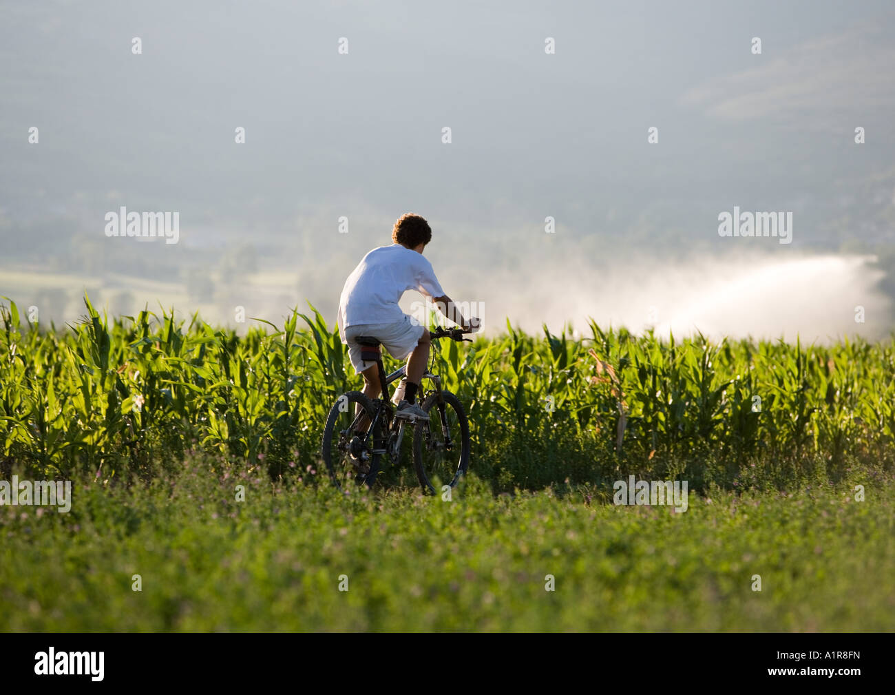 Boy riding through field hi-res stock photography and images - Alamy