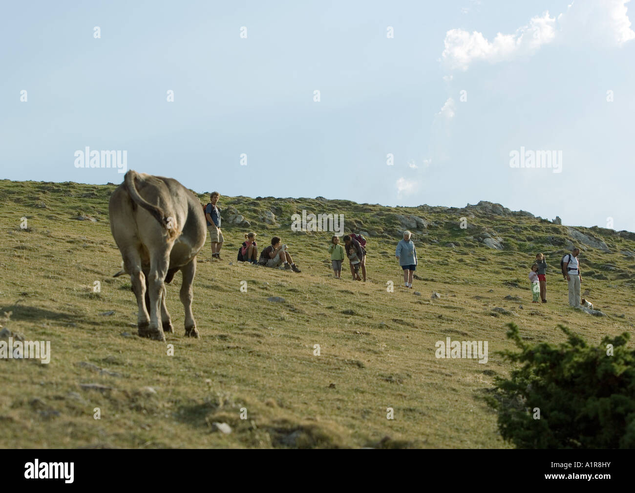 General overall view rock hi-res stock photography and images - Alamy