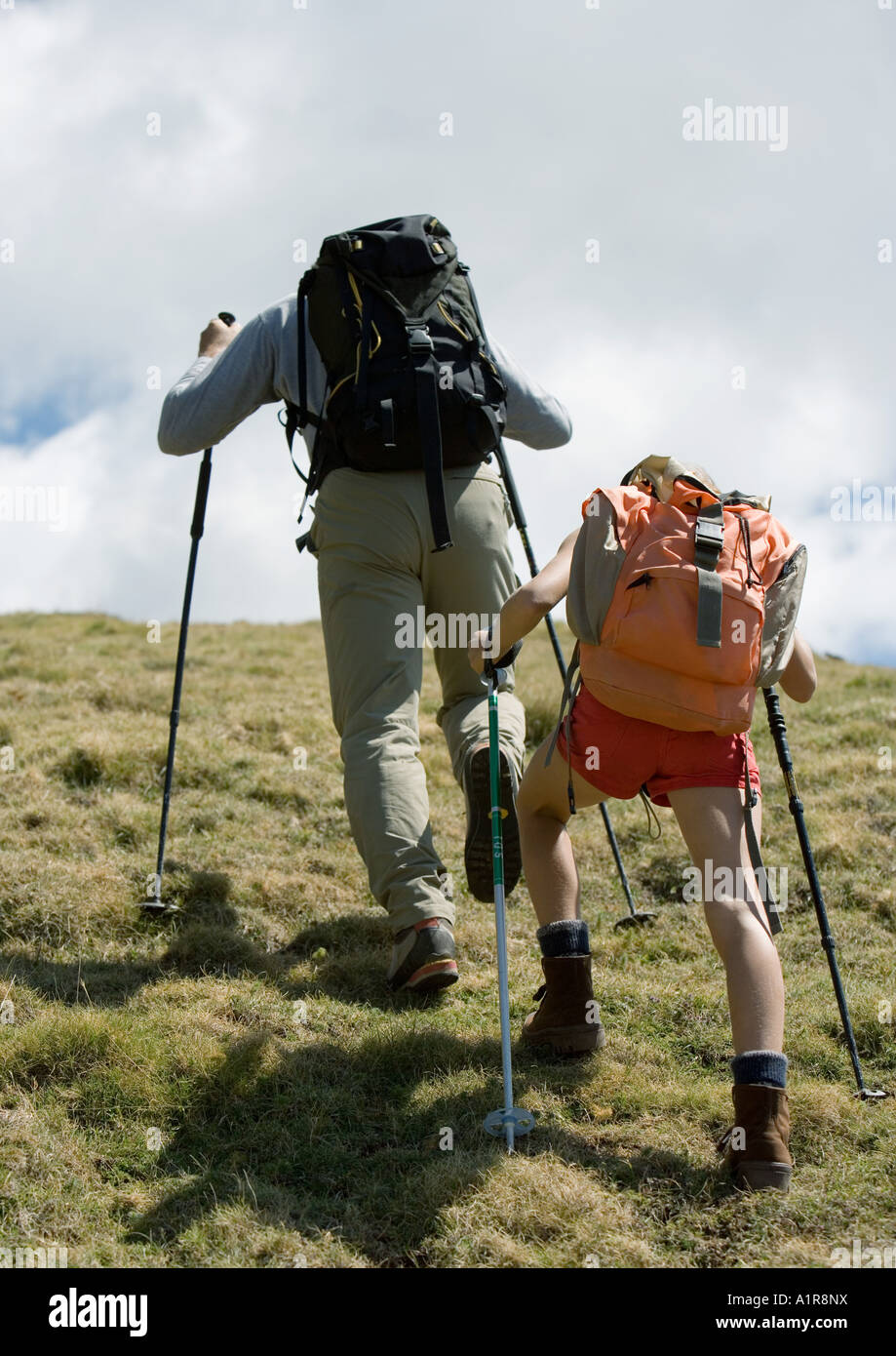 Hikers going uphill, rear view Stock Photo - Alamy