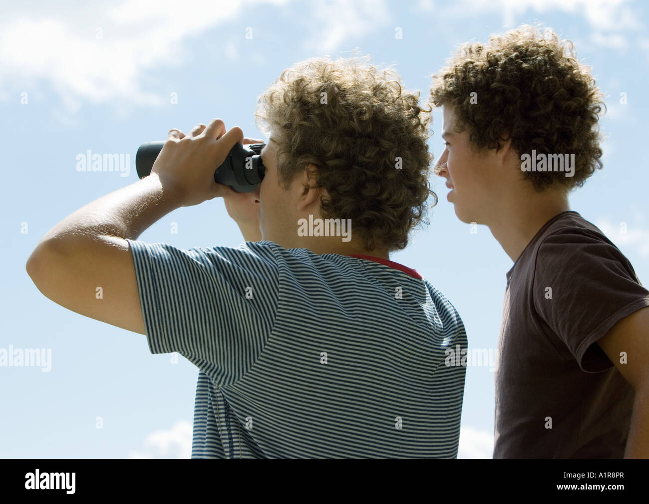Two young men looking at view with binoculars, rear view Stock Photo ...