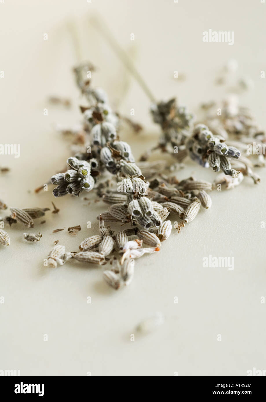 Dried Lavender Stems High Resolution Stock Photography and Images - Alamy