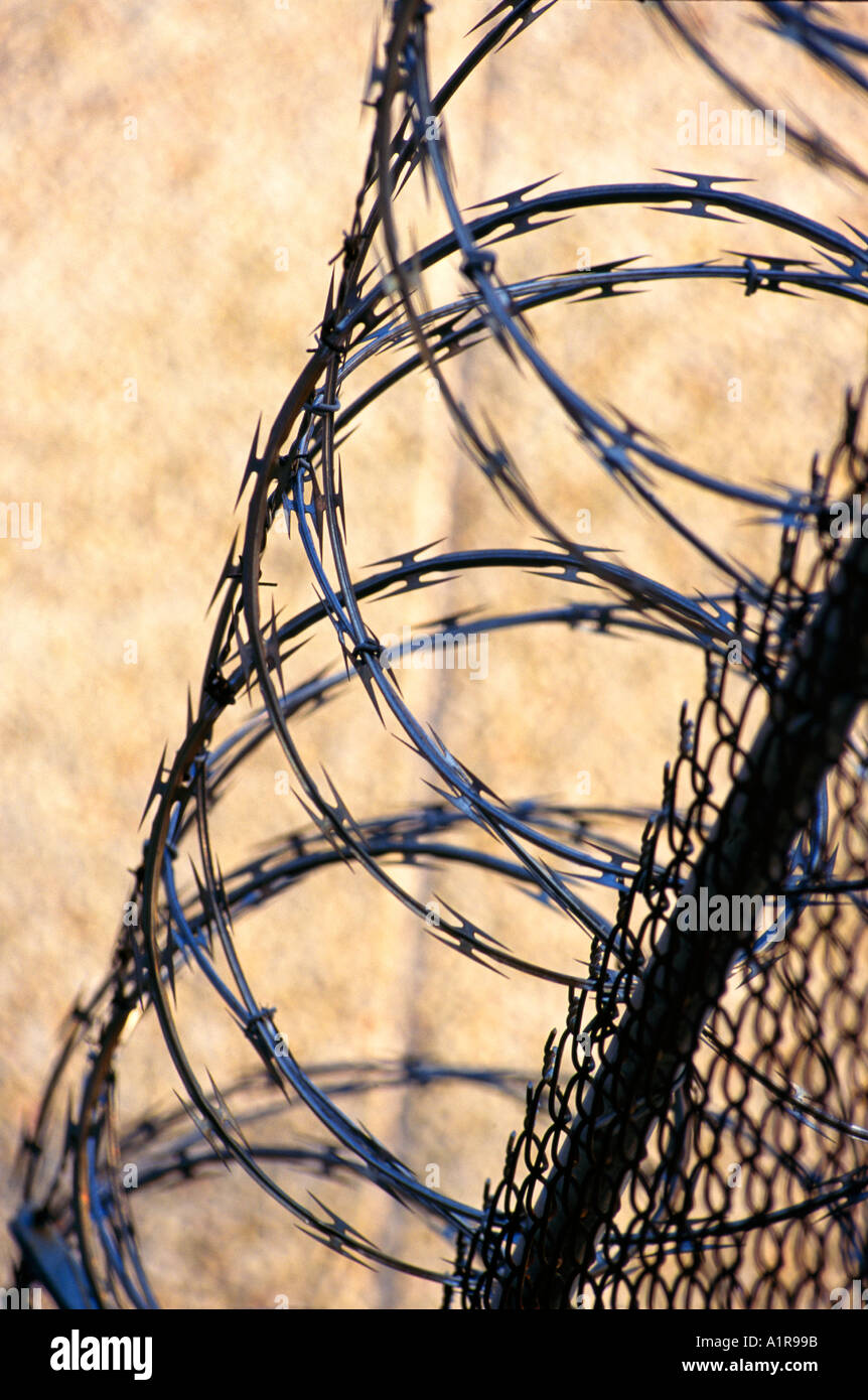 Razor wire rimming prison fencing with yellow brown wall background ...