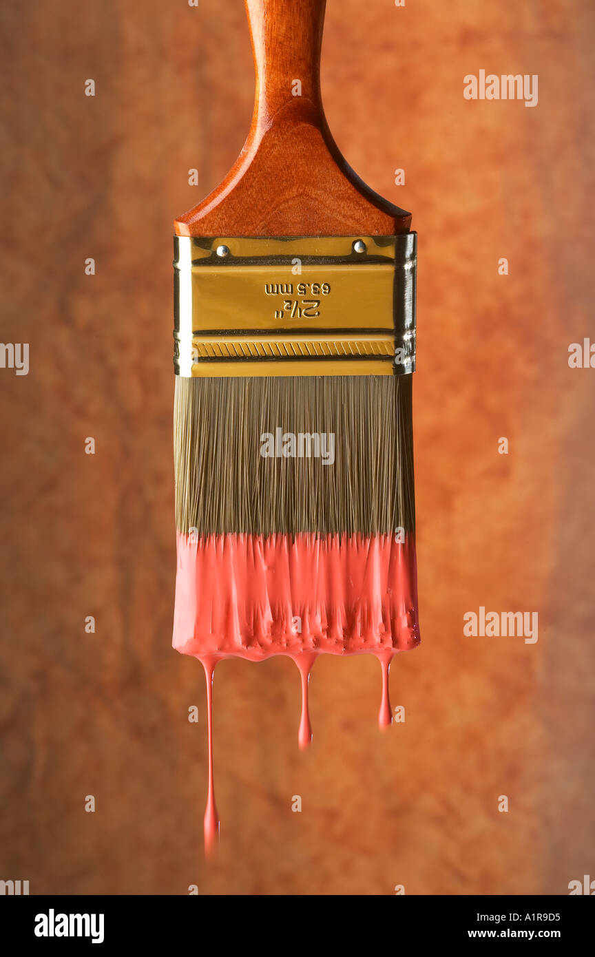 Paintbrush dipped in paint hi-res stock photography and images - Alamy