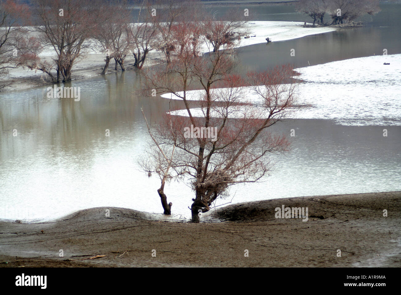 Snow driven hi-res stock photography and images - Alamy