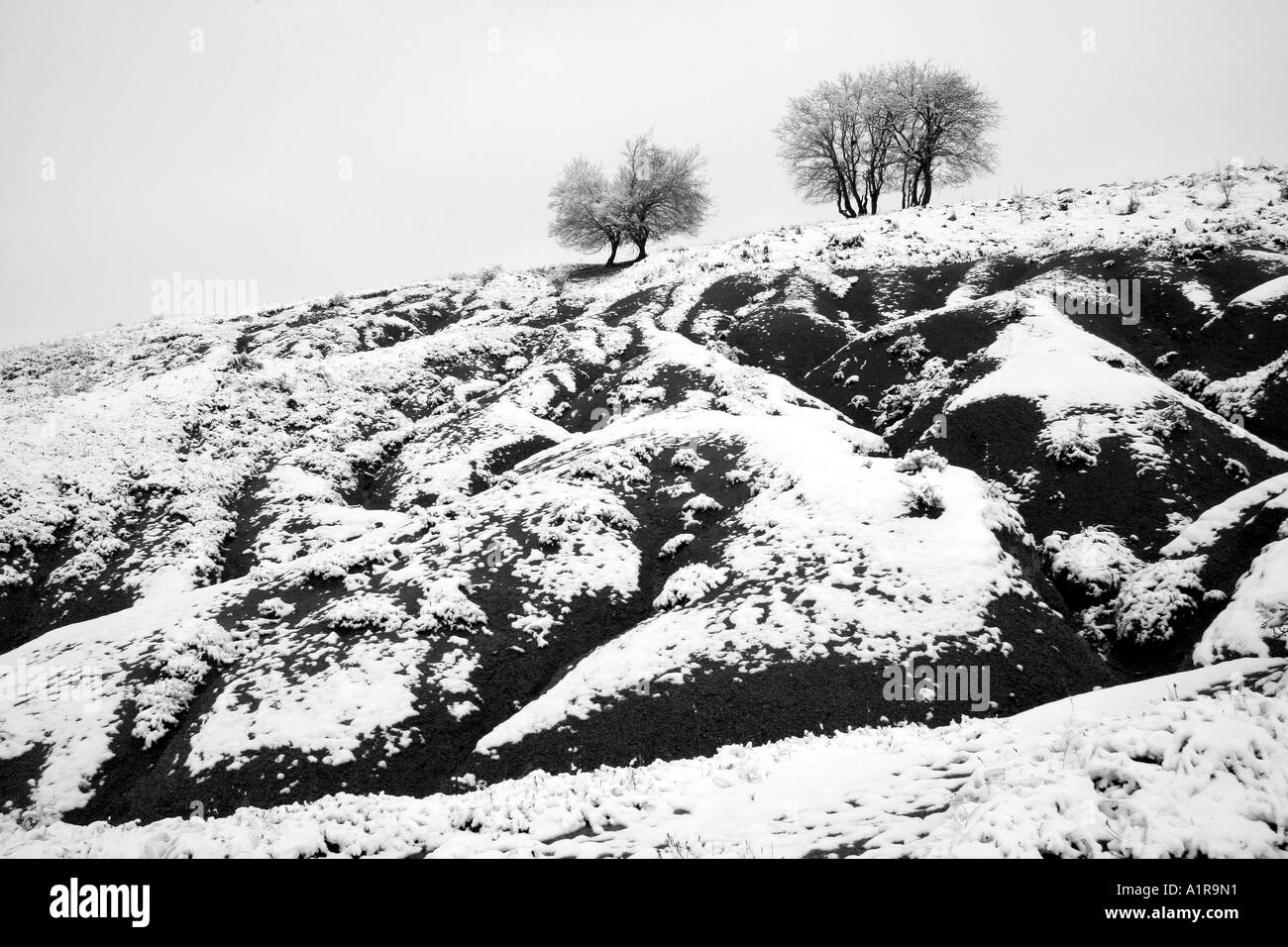 Talus Black and White Stock Photos & Images - Alamy